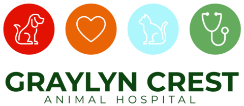 Best Veterinary Hospital in Wilmington, DE | Graylyn Crest Animal Hospital