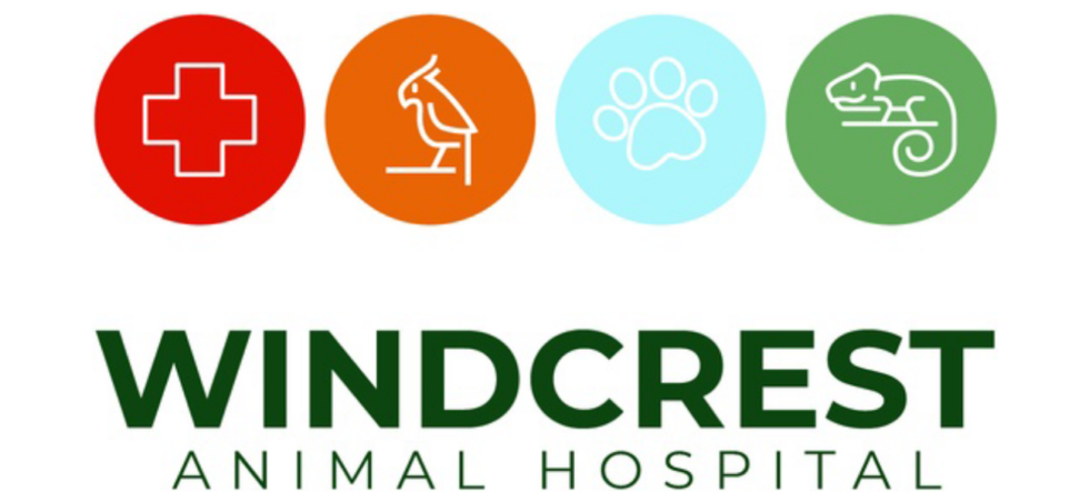 Best Veterinary Hospital in Wilmington, DE | Graylyn Crest Animal Hospital